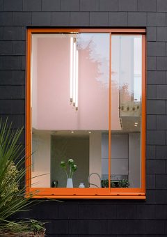 Maxlight door & window glazing features